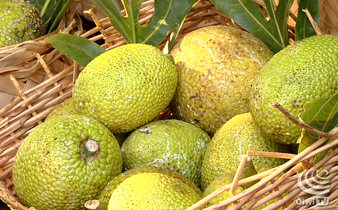 Hoʻoulu Ka ʻUlu Festival 2011 #breadfruitfestival #sustainability ...