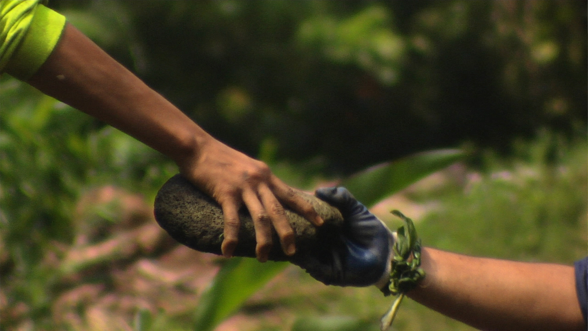 Stewards of Kuleana Lands - ʻŌiwi TV
